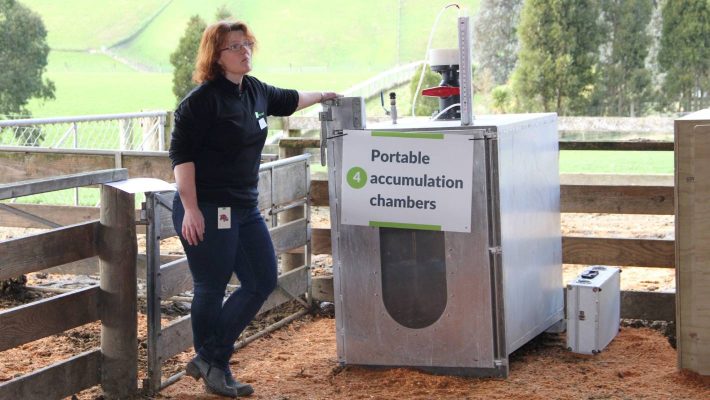 Portable_Accumulation_Chambers - E&L Advertiser